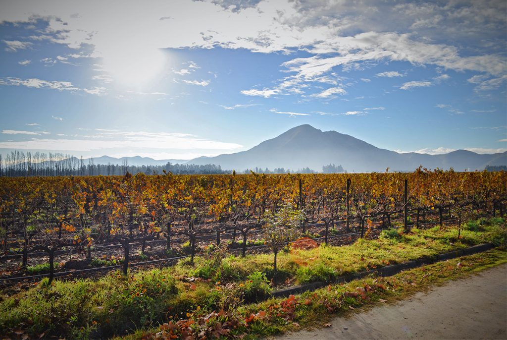 Contact - Santa Inés